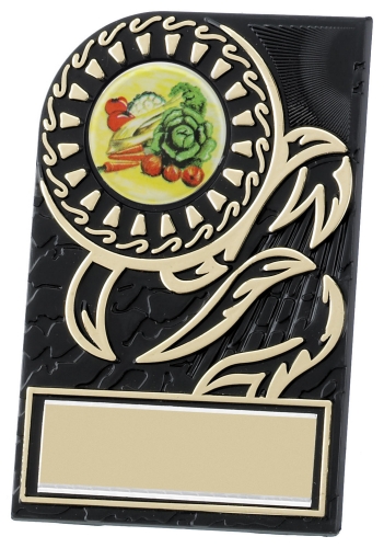 Black Plastic Plaques With Gold Trim Detail 1 - Trophy Sales
